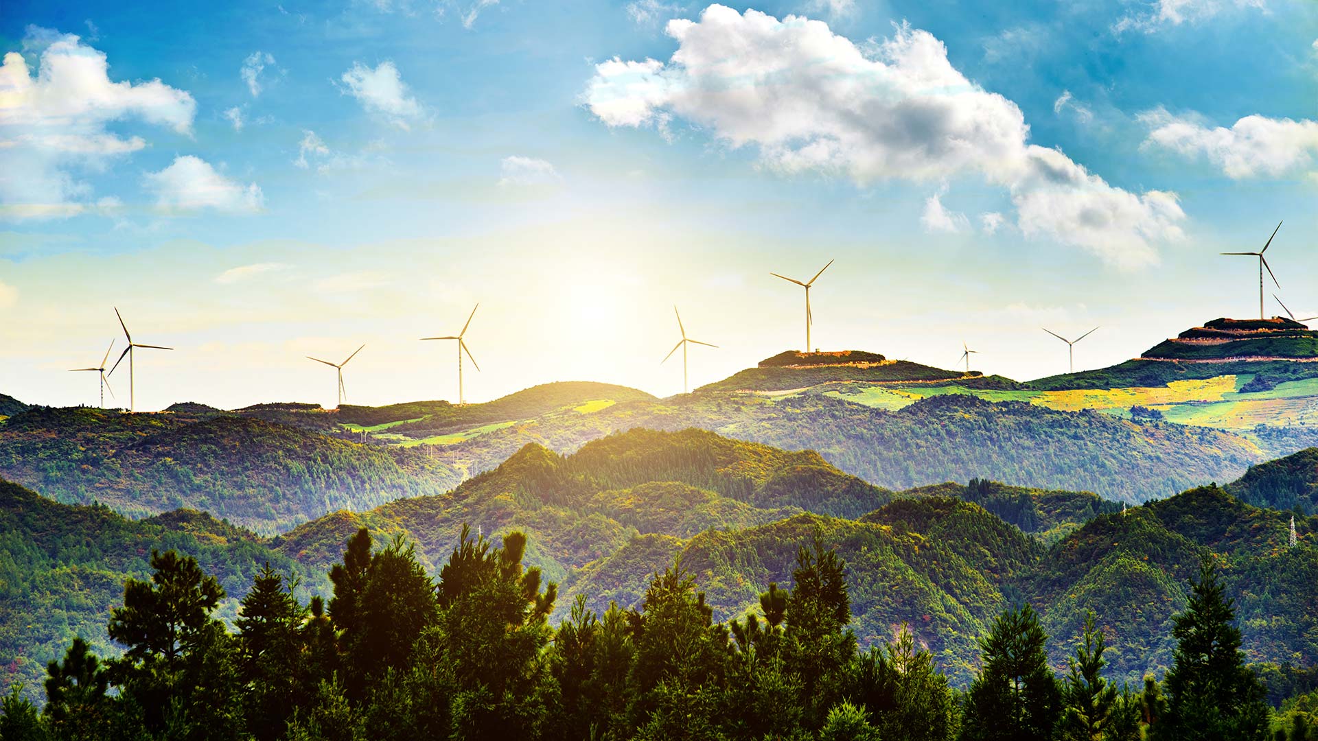 GIS People - Get the spatial resources and advice you need